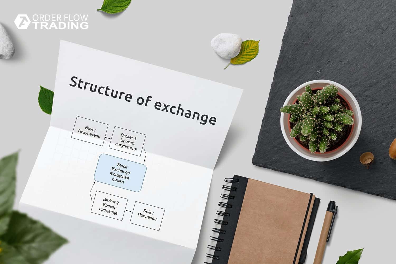 Organizational structure of the exchange