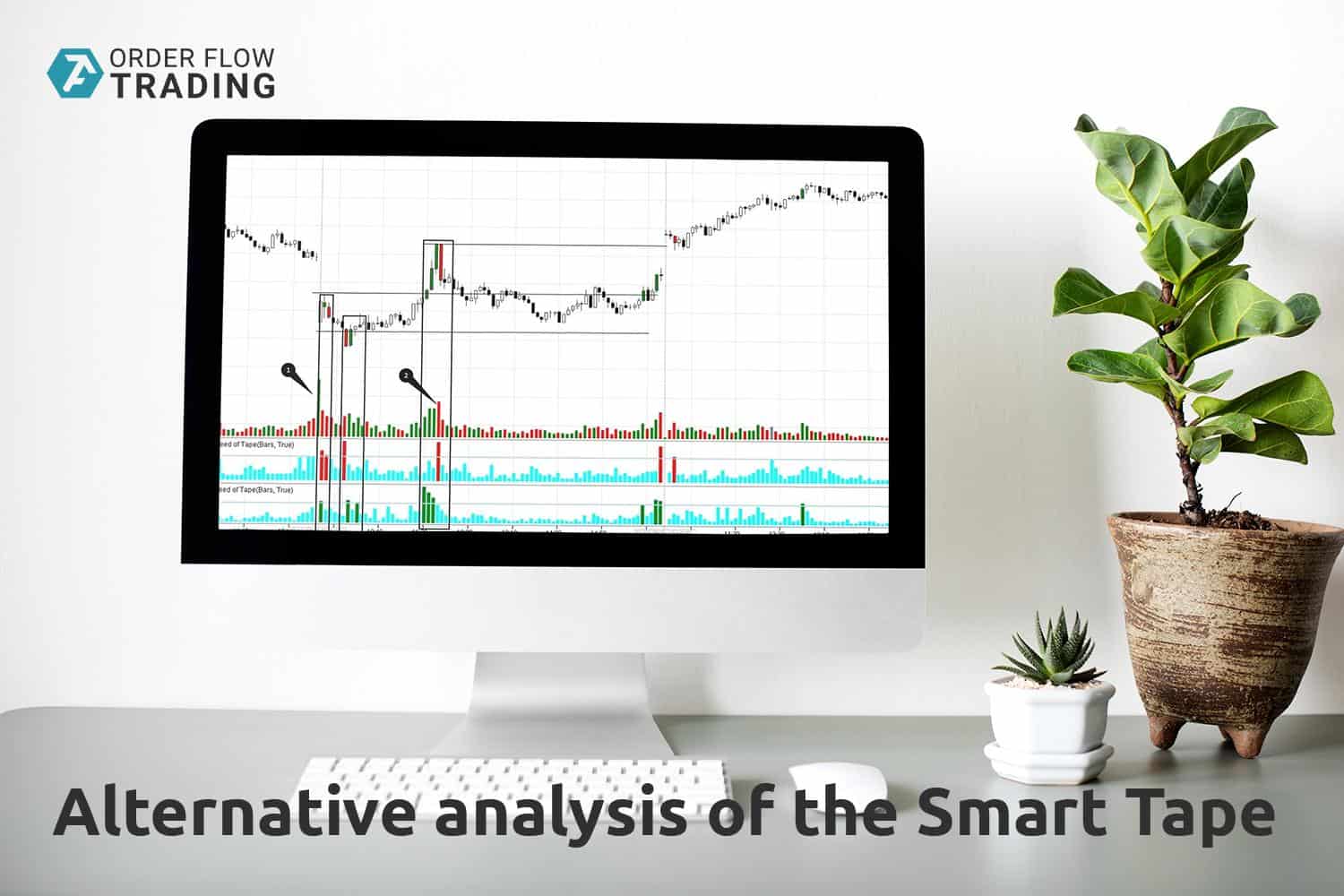 Alternative analysis of the Smart Tape with the Speed of Tape