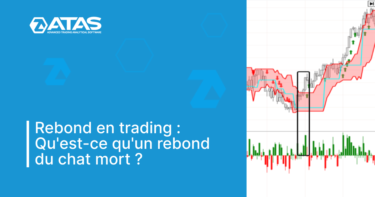 Qu'est-ce qu'un rebond du chat mort ? | ATAS